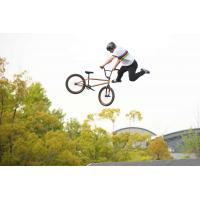 Online BMX Shop: BMX Parts / BMX Frames / BMX Tools / BMX Wheels / BMX ...